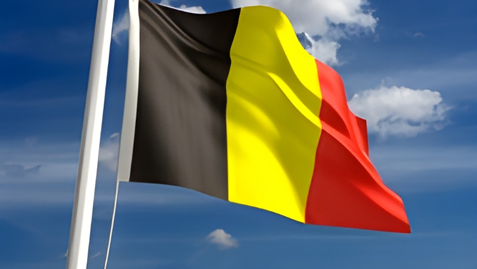 - Fondation Robert Schuman