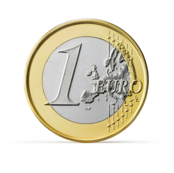 The euro has a future