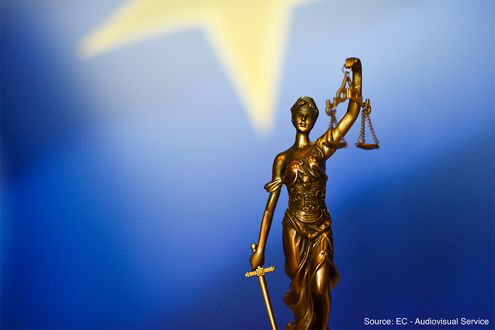 Protecting the checks and balances to save the Rule of Law